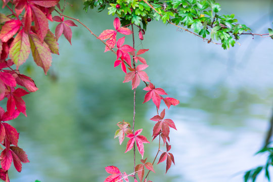 "Uncluttered Background" Images – Browse 953 Stock Photos, Vectors, and ...