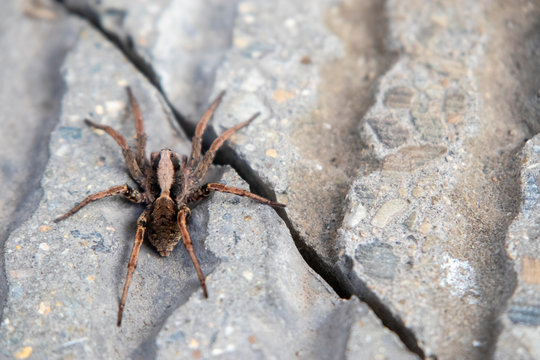 Babouk Images – Parcourir 244 le catalogue de photos, vecteurs et ...