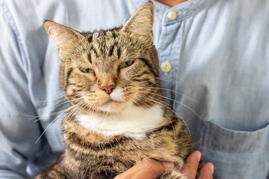 Ivrin photos, images, assets | Adobe Stock