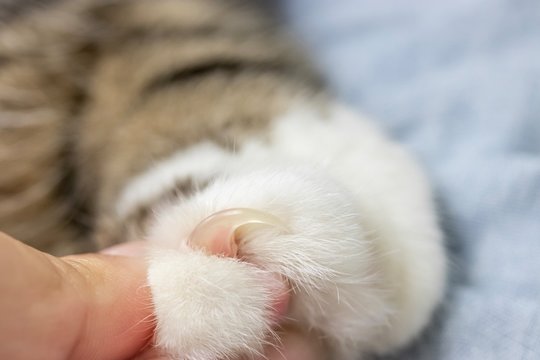 Ivrin photos, images, assets | Adobe Stock