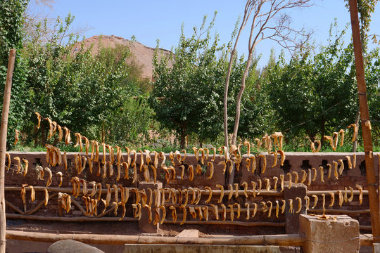 Tarimbecken Bilder – Durchsuchen 337 Archivfotos, Vektorgrafiken und ...