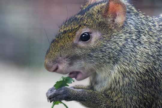 รูปภาพSereque – เลือกดูภาพถ่ายสต็อก เวกเตอร์ และวิดีโอ1,698 | Adobe Stock