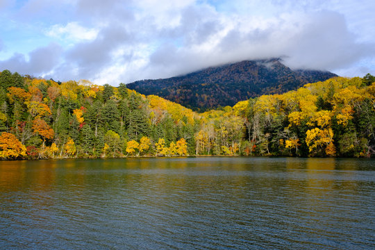 Fafo photos, images, assets | Adobe Stock