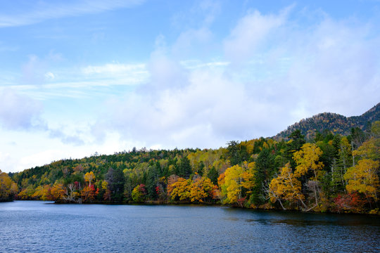 Fafo photos, images, assets | Adobe Stock