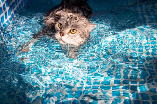 Ivrin photos, images, assets | Adobe Stock