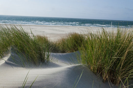 "Dancing Grass" Images – Browse 59 Stock Photos, Vectors, and Video ...