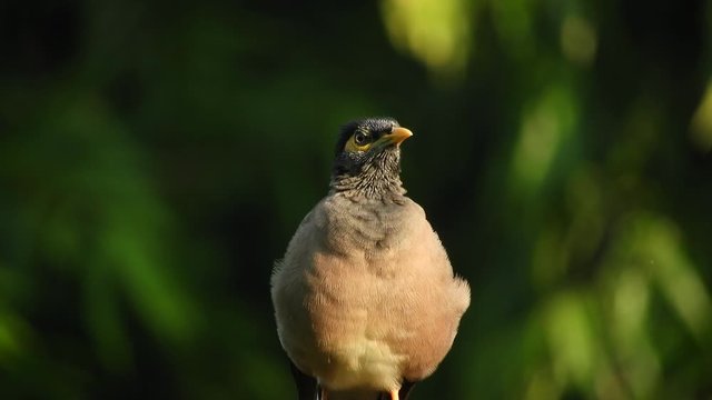 Mayna Images – Browse 189 Stock Photos, Vectors, and Video | Adobe Stock