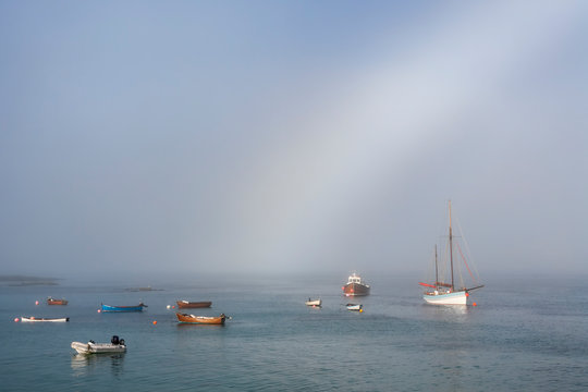 Harr Bilder – Durchsuchen 58 Archivfotos, Vektorgrafiken und Videos ...