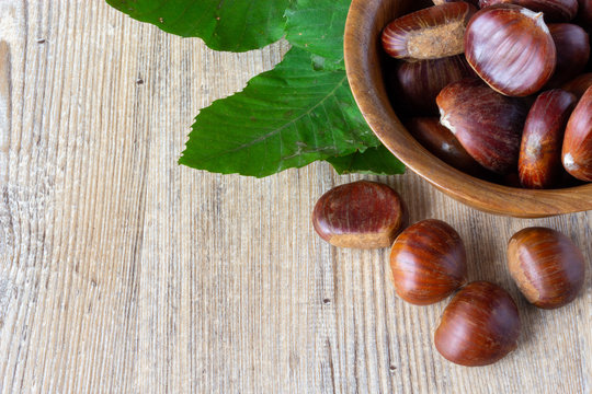 Aculei Bilder – Durchsuchen 416 Archivfotos, Vektorgrafiken und Videos ...