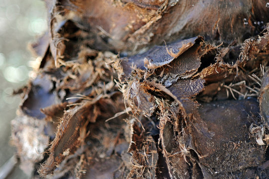 Unmatching Bilder – Durchsuchen 735 Archivfotos, Vektorgrafiken und ...