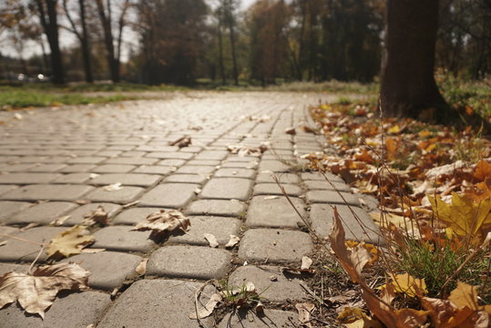 รูปภาพPavers – เลือกดูภาพถ่ายสต็อก เวกเตอร์ และวิดีโอ39,139 | Adobe Stock