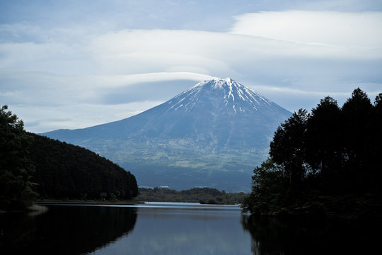 Tanuki-Ko Images – Browse 30 Stock Photos, Vectors, and Video | Adobe Stock