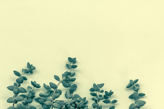 JulietPhotography photos, images, assets | Adobe Stock