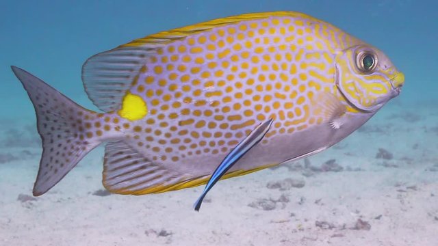 Comportment Images – Browse 487,418 Stock Photos, Vectors, and Video ...