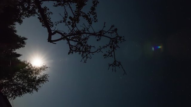 Moonbeam Images – Browse 38,774 Stock Photos, Vectors, and Video ...