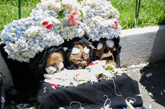 รูปภาพNecrophilia – เลือกดูภาพถ่ายสต็อก เวกเตอร์ และวิดีโอ406 | Adobe Stock