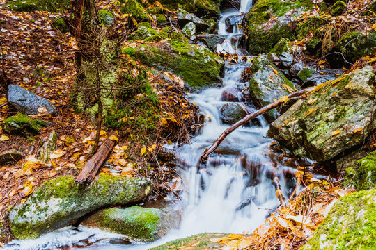 Strumyk Bilder – Durchsuchen 1,856 Archivfotos, Vektorgrafiken und ...