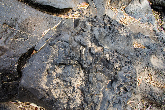 Matrial Bilder – Durchsuchen 172 Archivfotos, Vektorgrafiken und Videos ...