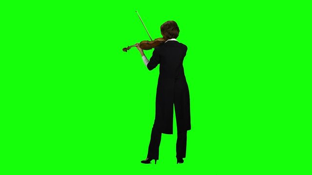 Violin Back Images – Browse 1,816 Stock Photos, Vectors, and Video ...