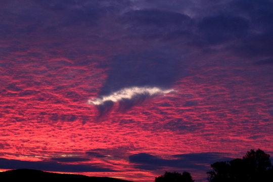 Knallrot bilder – Bläddra bland 2,030 stockfoton, vektorer och videor ...