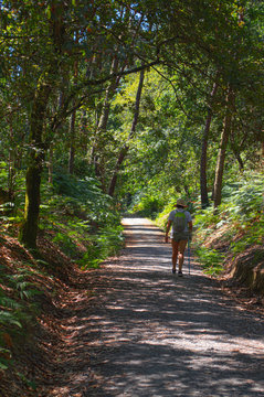 Peregrinate Изображения: просматривайте стоковые фотографии, векторные ...