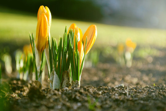 Free March Images – Browse 2,014 Free Stock Photos, Vectors, and Video ...