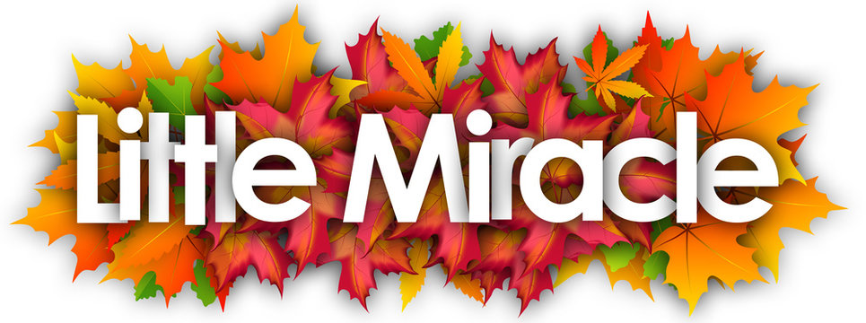 "Little Miracle" Images – Browse 116 Stock Photos, Vectors, and Video ...