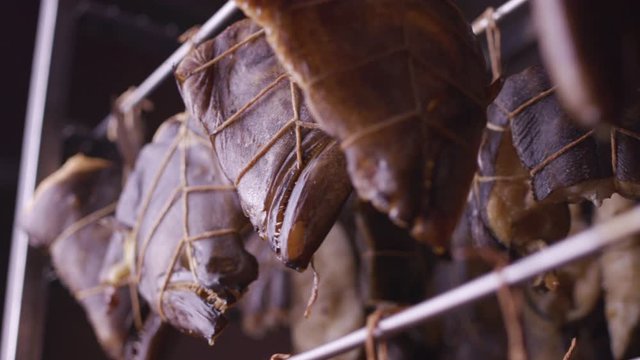 Fish-Heads Images – Parcourir 3,983 le catalogue de photos, vecteurs et ...