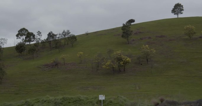 Yea! Images – Browse 9,123 Stock Photos, Vectors, and Video | Adobe Stock