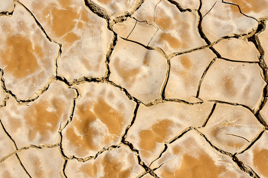 Imágenes de Cuarteado: descubre bancos de fotos, ilustraciones ...