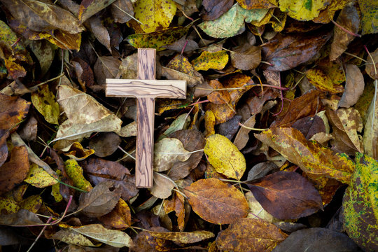 Autumn Cross Images – Browse 96,907 Stock Photos, Vectors, and Video ...