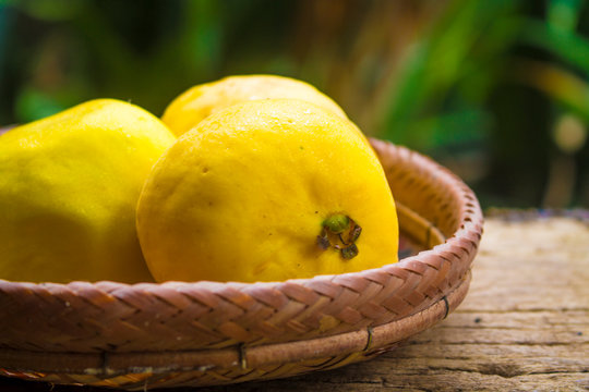 Imágenes de Arazá: descubre bancos de fotos, ilustraciones, vectores y ...