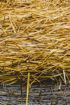 「Heurolle」の画像 - 192 件の Stock 写真、ベクターおよびビデオ | Adobe Stock