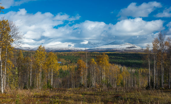Apatity Bilder – Durchsuchen 287 Archivfotos, Vektorgrafiken und Videos ...
