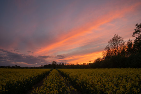 「Suset」の写真素材 | 1,884件の無料イラスト画像 | Adobe Stock