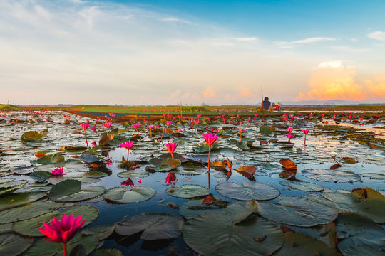 "Songkhla Lake" Images – Browse 182 Stock Photos, Vectors, and Video ...