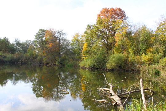 「Wasserlandschaft」の画像 - 5,913 件の Stock 写真、ベクターおよびビデオ | Adobe Stock