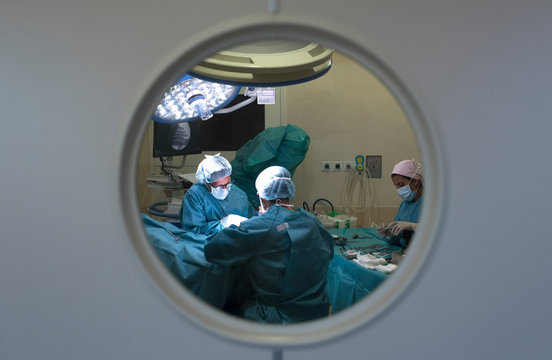 72,986 BÄSTA Op BILDER, STOCKFOTON OCH VEKTORBILDER | Adobe Stock