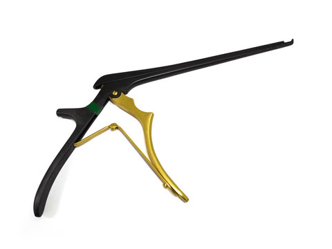 Imágenes de Rongeur: descubre bancos de fotos, ilustraciones, vectores ...