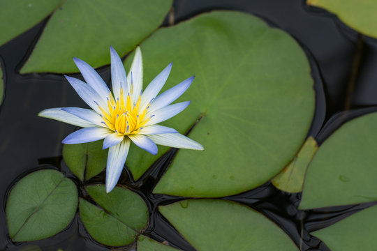 444 IMAGES, PHOTOS ET ILLUSTRATIONS VECTORIELLES STOCK APPROPRIÉES SUR ...