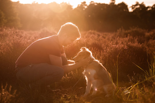 「Loben」の写真素材 | 1,992件の無料イラスト画像 | Adobe Stock