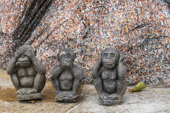 รูปภาพIwazaru – เลือกดูภาพถ่ายสต็อก เวกเตอร์ และวิดีโอ2,022 | Adobe Stock
