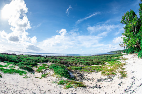 "Eua Island" Images – Browse 42 Stock Photos, Vectors, and Video ...