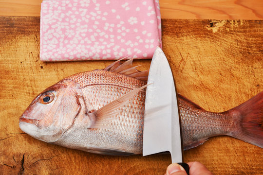 Ikizukuri bilder – Bläddra bland 273 stockfoton, vektorer och videor ...