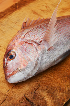 Ikizukuri Bilder – Durchsuchen 275 Archivfotos, Vektorgrafiken und ...