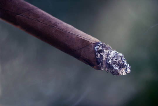 「Cigarr」の写真素材 | 19件の無料イラスト画像 | Adobe Stock