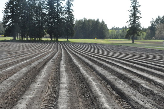 Monocropping Bilder – Durchsuchen 360 Archivfotos, Vektorgrafiken und ...