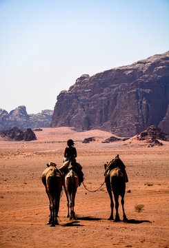 รูปภาพOued – เลือกดูภาพถ่ายสต็อก เวกเตอร์ และวิดีโอ53,622 | Adobe Stock