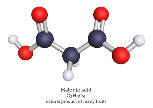 Malonic Acid Powder