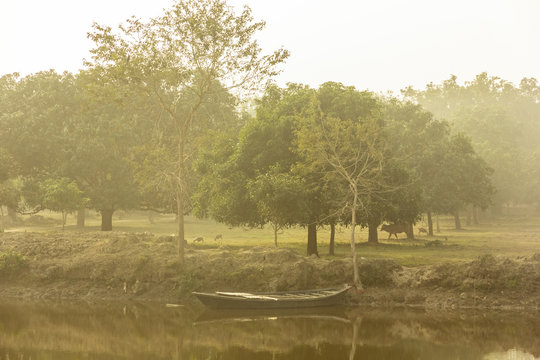 Malda Images – Browse 141 Stock Photos, Vectors, and Video | Adobe Stock